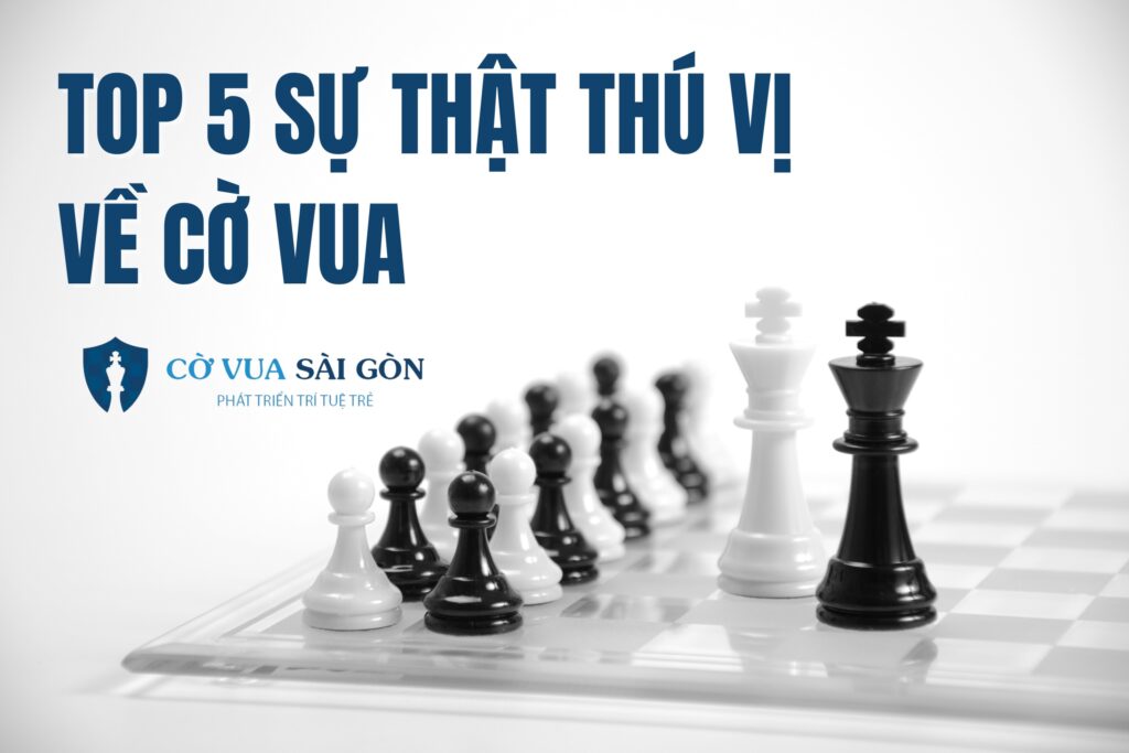 Top 5 sự thật thú vị về cờ Vua có thể bạn chưa biết!